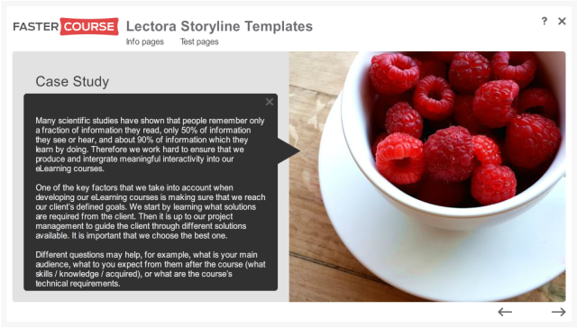 Storyline Template Guide E-learning templates-FasterCourse