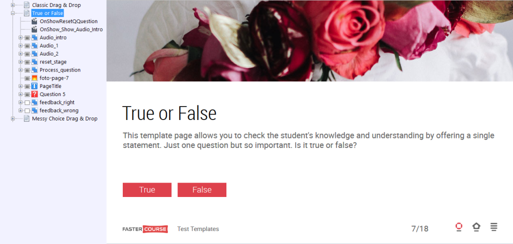 Test Template Guide - Lectora Templates - FasterCourse