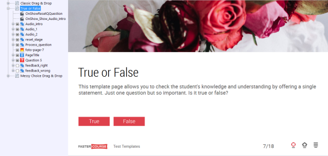Test Template Guide - Lectora Templates - FasterCourse