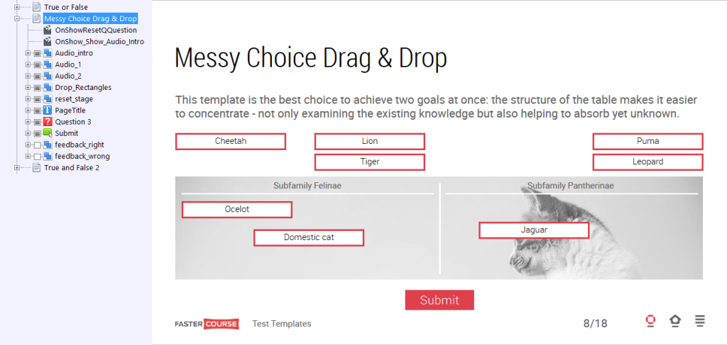 Messy Drag & Drop - E-learning Templates - FasterCourse