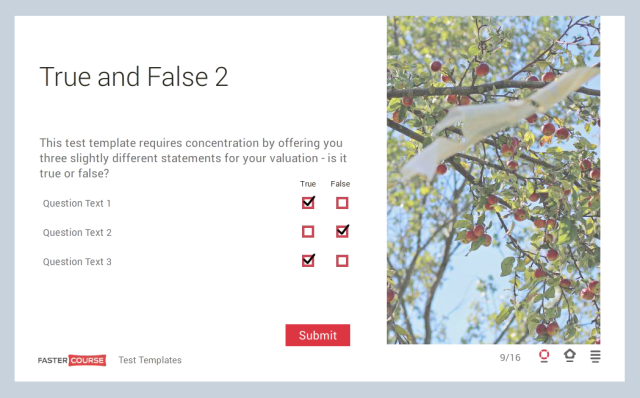 True or False 2 - E-learning Templates - FasterCourse