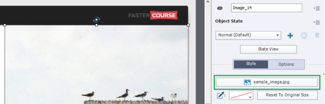Captivate Template Guide - E-learning Templates - FasterCourse
