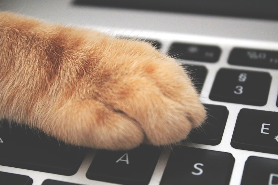How To Create Engaging Elearning Content Fastercourse Blog