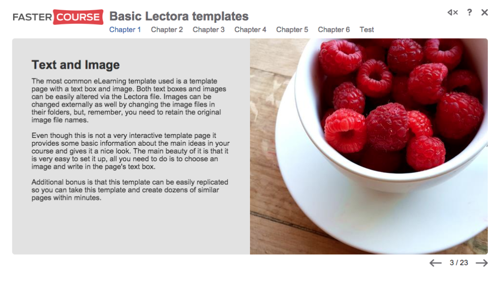 basic lectora templates3 - E-learning Templates - FasterCourse