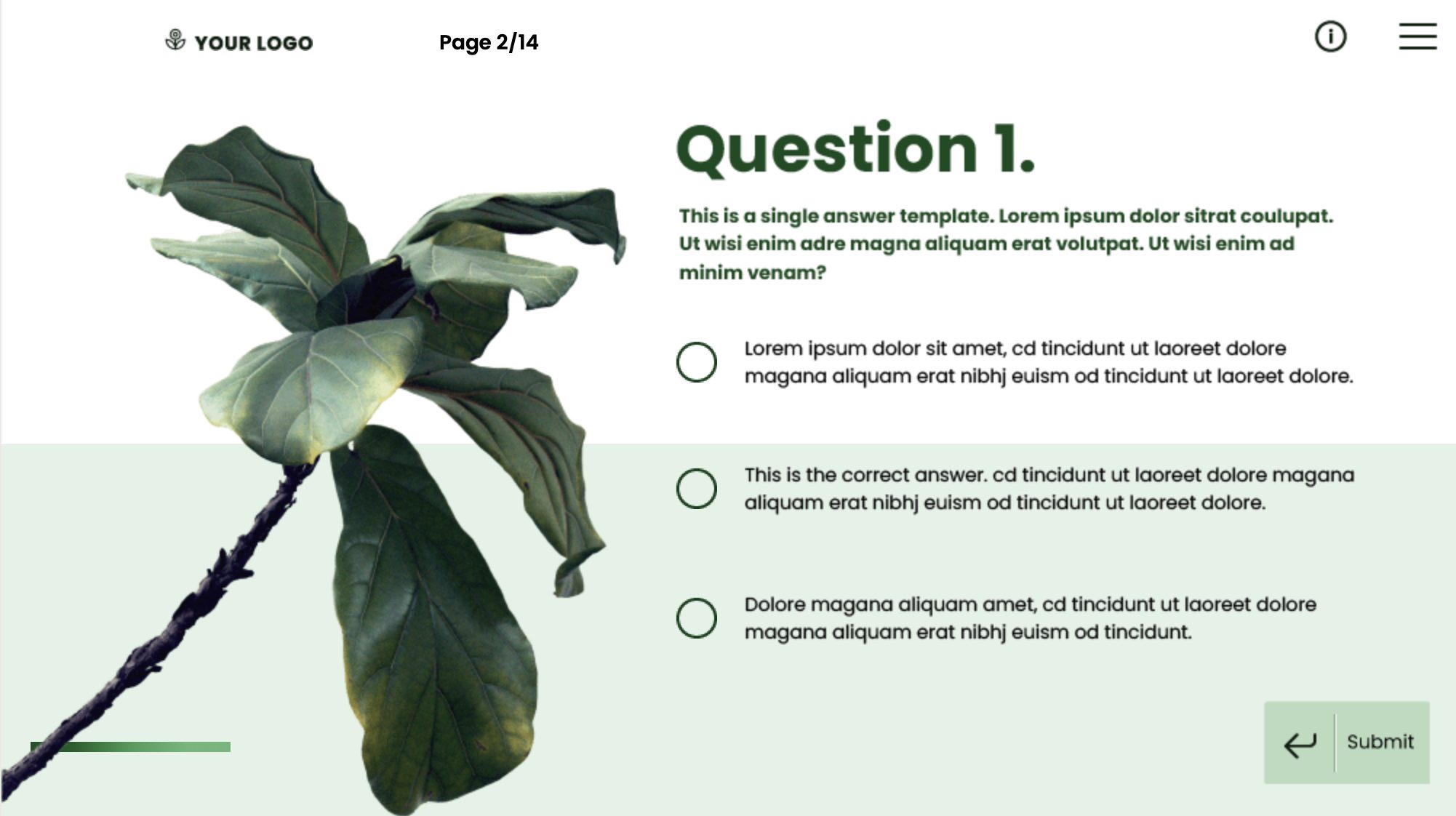Adobe Captivate Templates Countdown Test contains 16 Templates E 