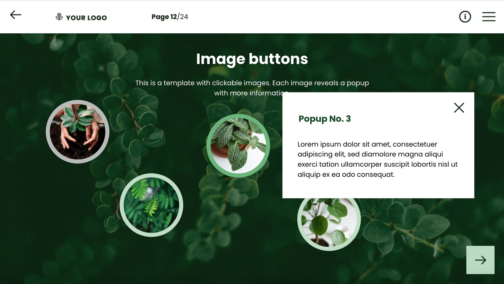 Articulate Storyline 360 Templates Countdown Info contains 26 